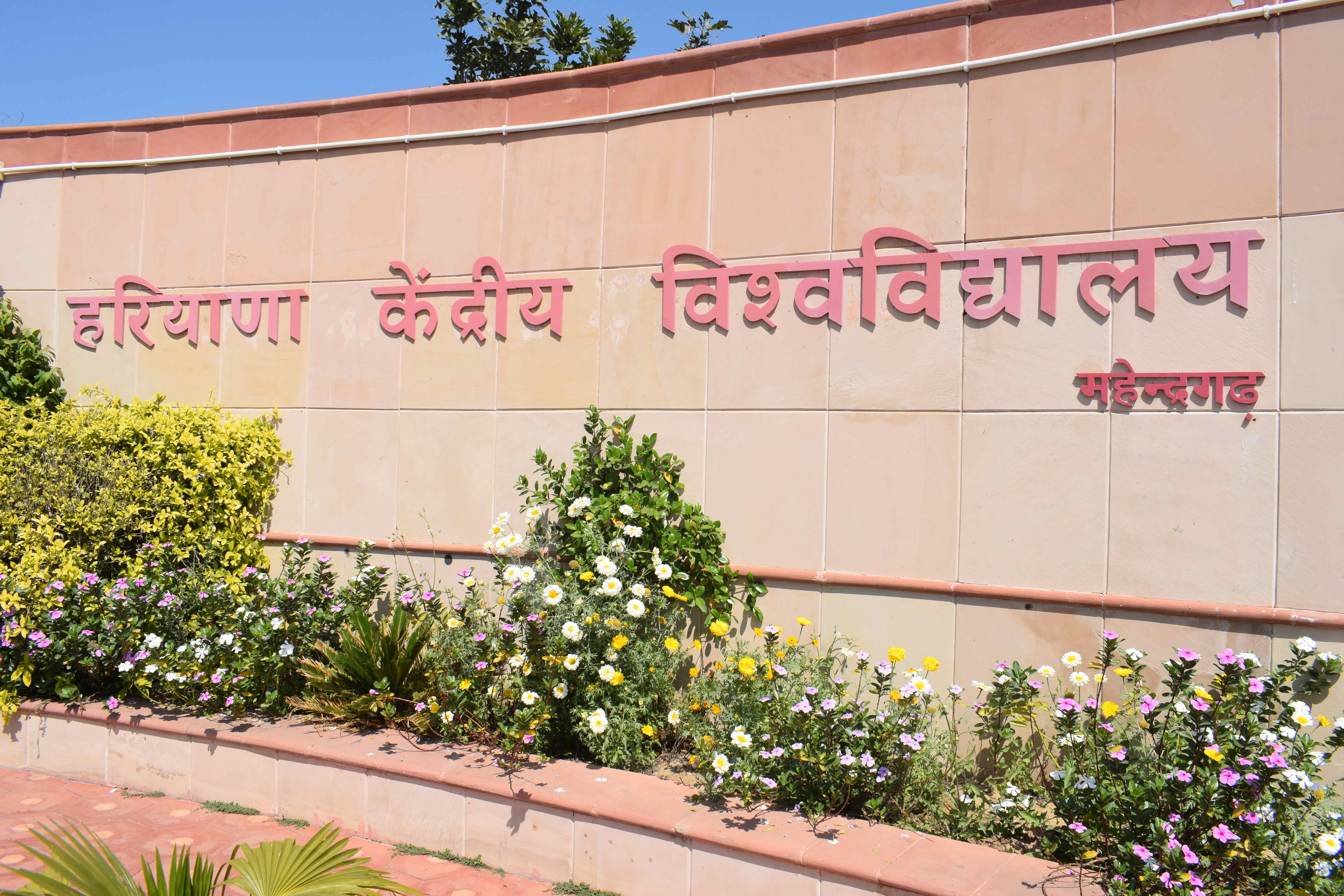 Last Date Of Application For PG Programmes In CUH Extended Last Date Of Application For PG Programmes In CUH Extended